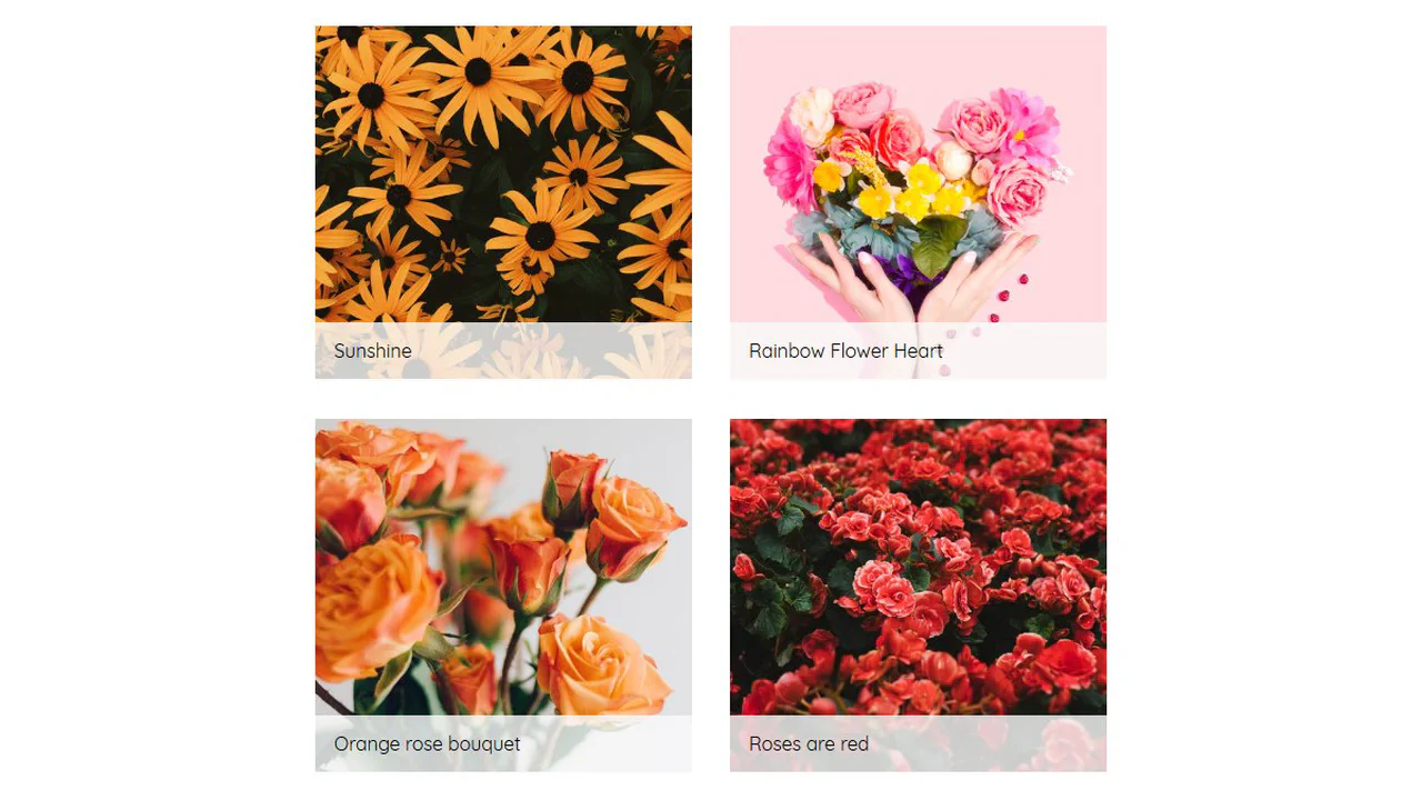24 HTML and Examples